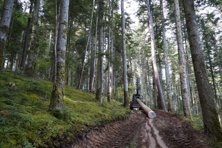 [Presse] - TEBOLVL® - Groupe Thebault